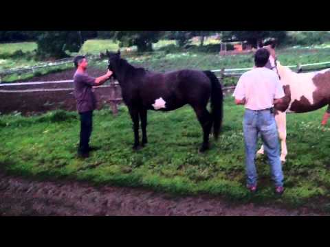 Pripousteni Billy Skip Bars a Durango Mels - YouTube