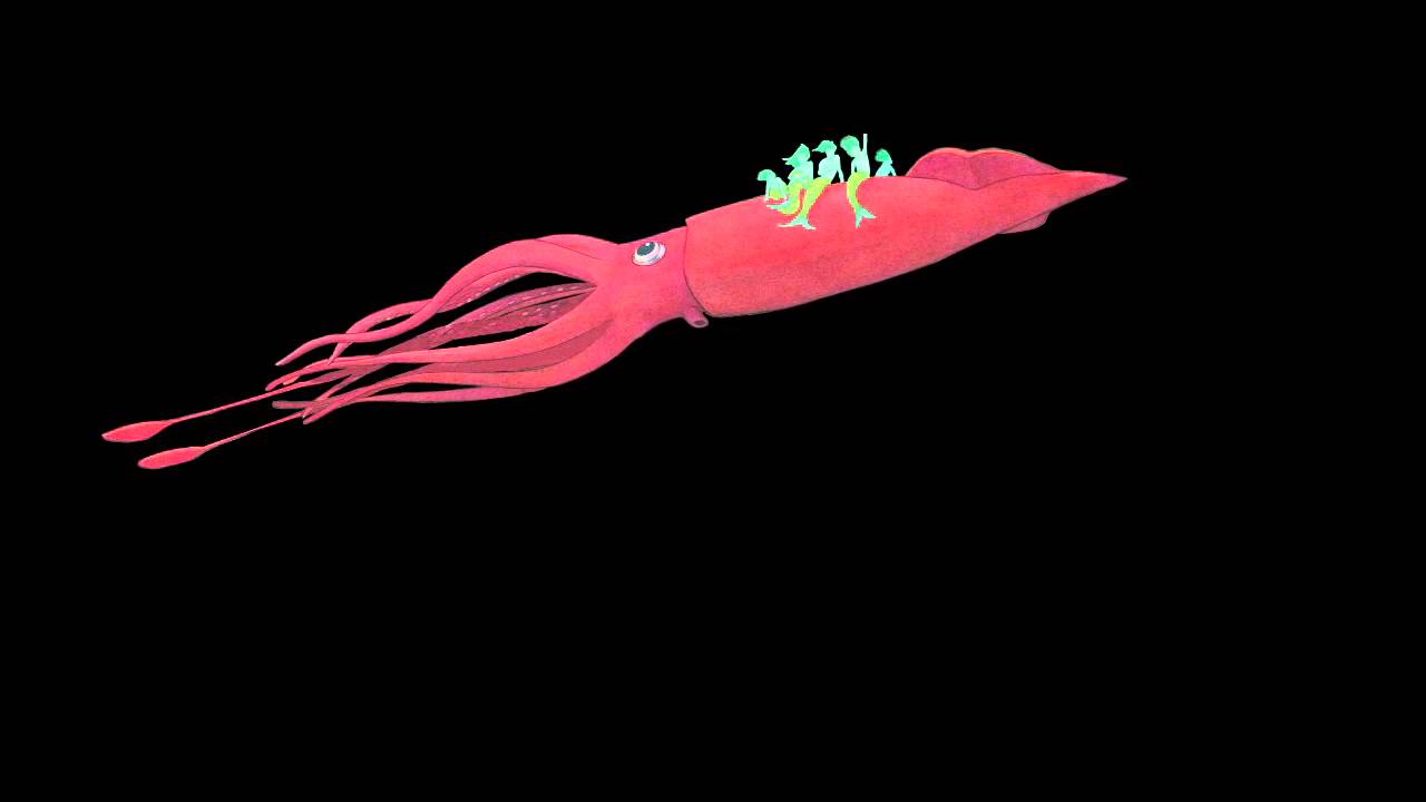 Squid Swim - YouTube