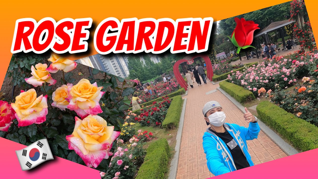 ROSE GARDEN | DAEGU TOUR South Korea - YouTube