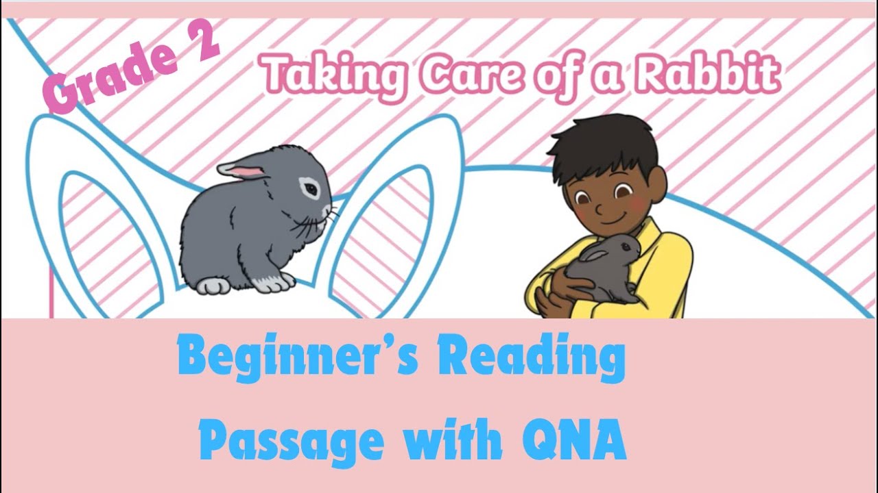 Beginner reading ComprehensionL Taking Care of A Rabbit: Grade 2-3: IB ...