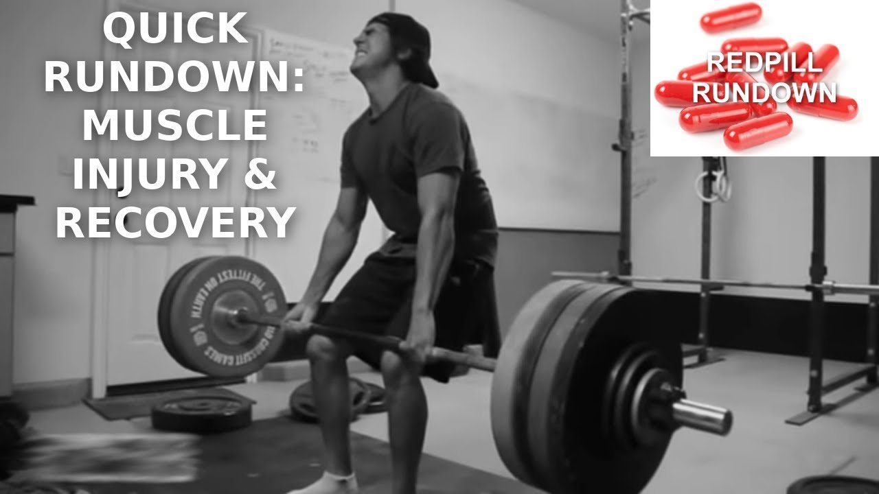 Quick Rundown: Muscle Injury & Recovery - YouTube