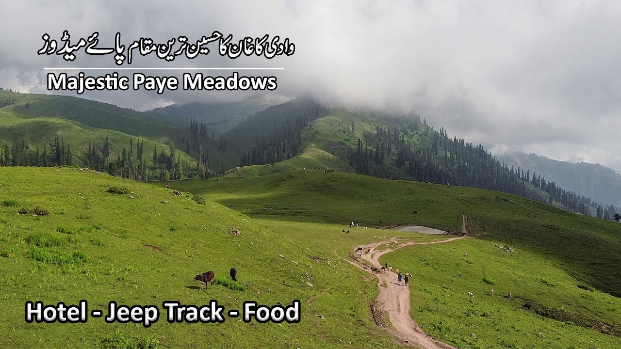Shogran Valley | Siri Paye Meadows | Naran Kaghan - YouTube
