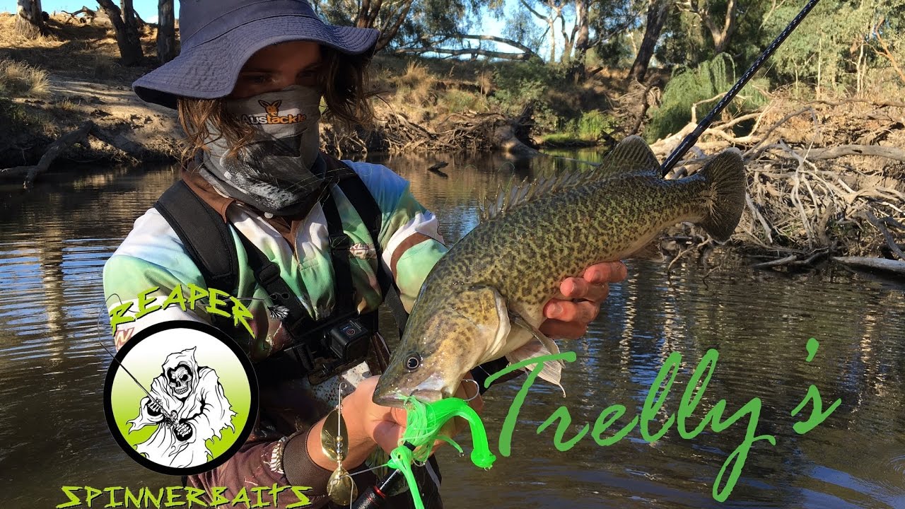 Murray Cod Fishing - Top Water and Spinnerbaits - YouTube
