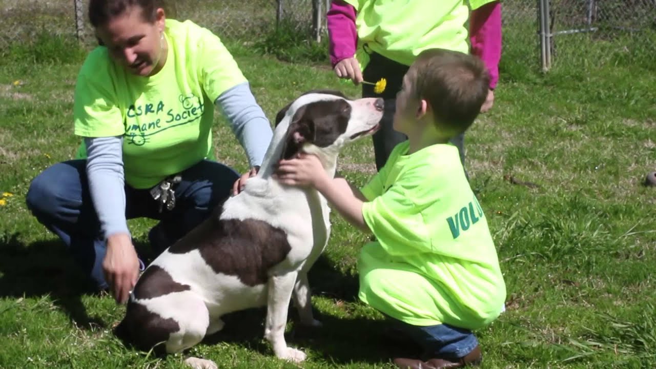 CSRA Humane Society Commercial - YouTube