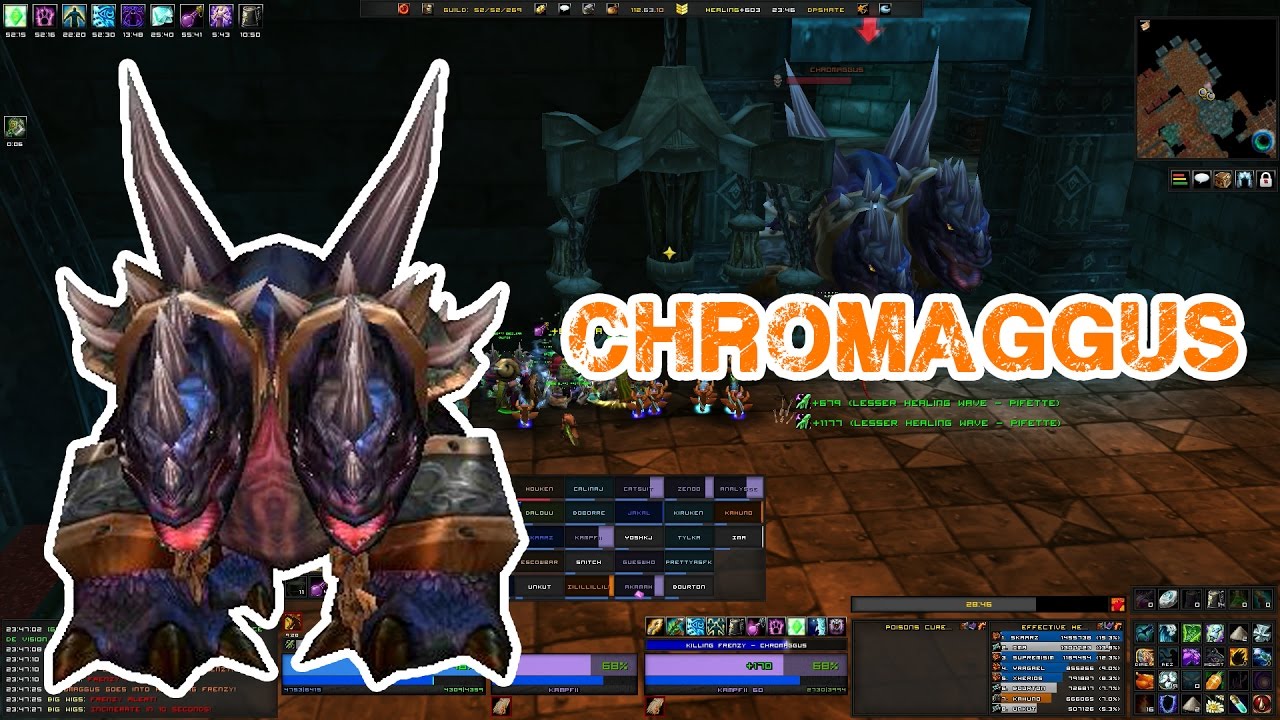 Chromaggus - YouTube