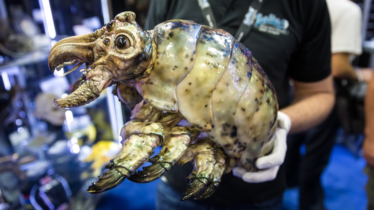 SDCC 2014: Original Batman and Pacific Rim Props - YouTube