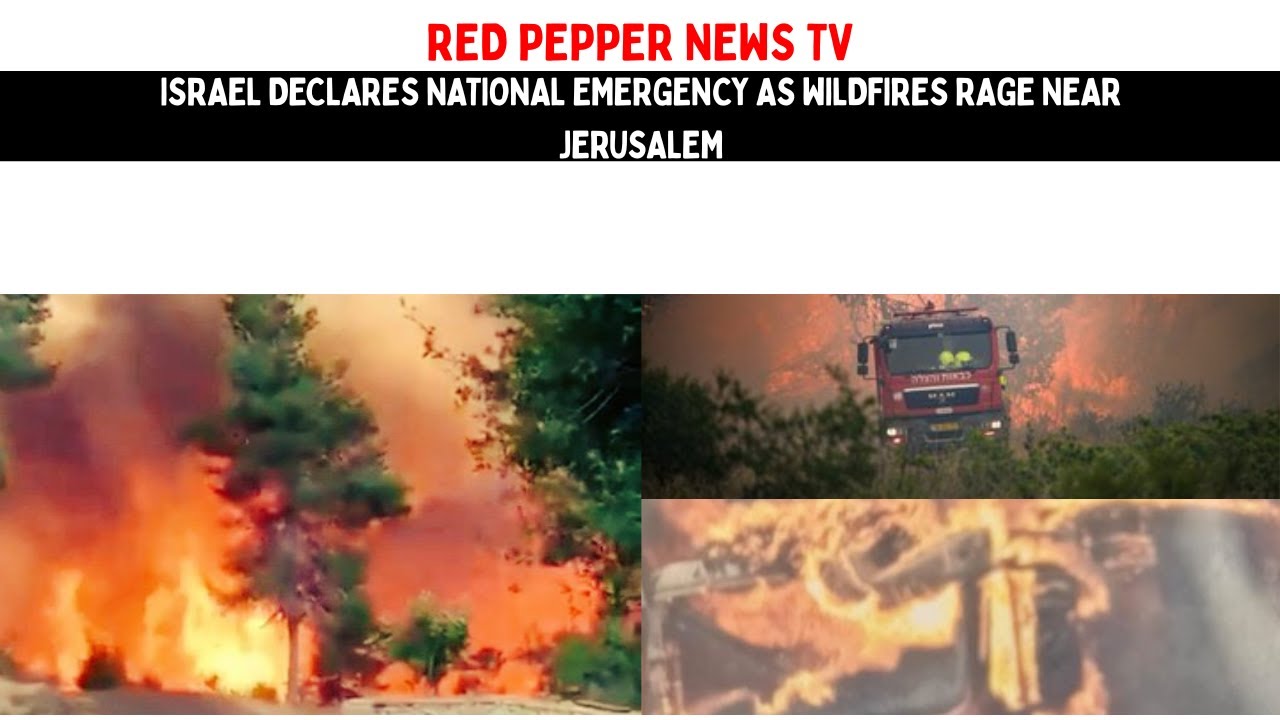 Israel Declares National Emergency as Massive Wildfires Engulf Areas ...