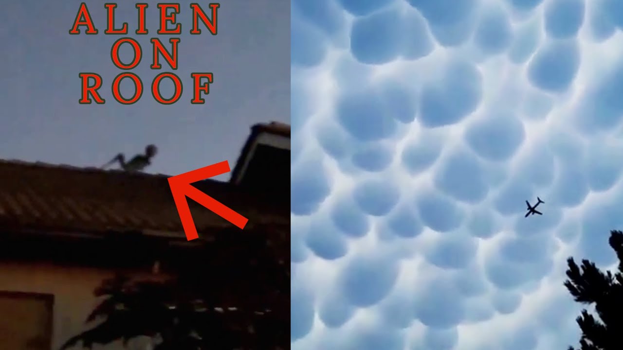 Strange Creatures Caught On Camera 2021 | Unexplained Things | Unseen ...