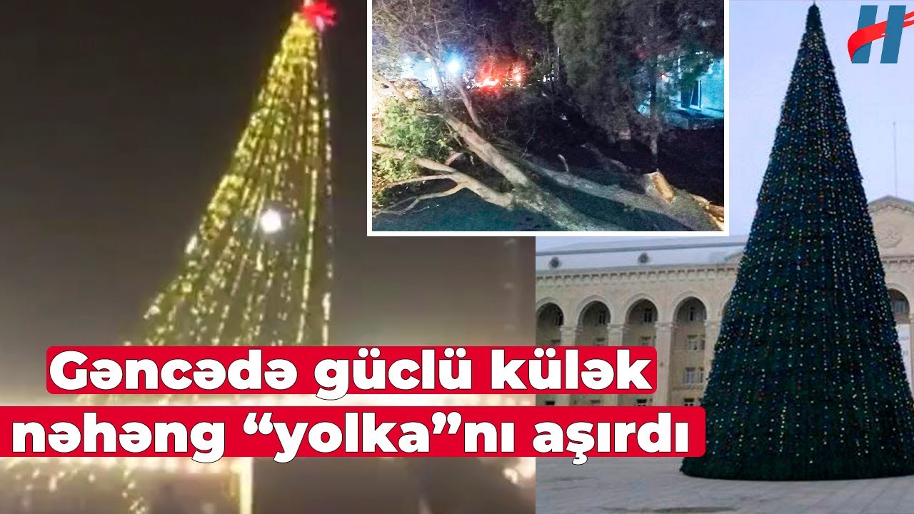 Gəncədə güclü külək nəhəng “yolka”nı aşırdı - VİDEO - YouTube