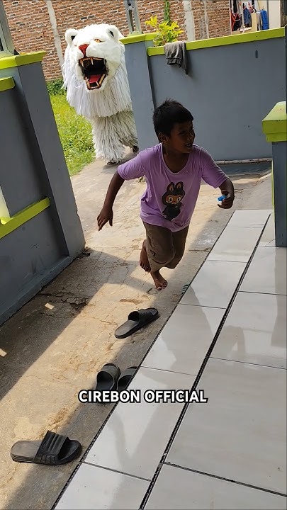 Bocil ini di kejar can macanan sampeh mamah nya ngamuk bawah sapu - YouTube