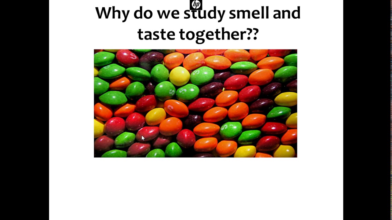 Smell, Taste & the Spatial Senses - YouTube