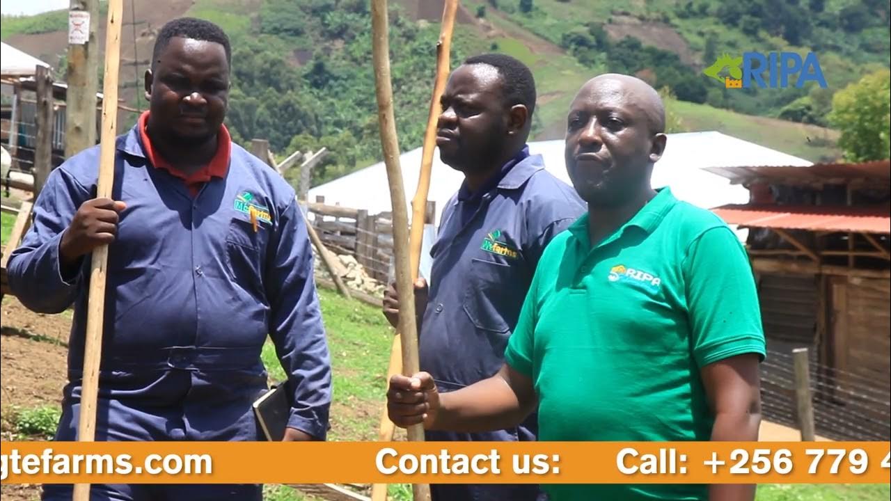RIPA- Transforming Ugandan Rural Communities through its Unique integrated farming Model ...