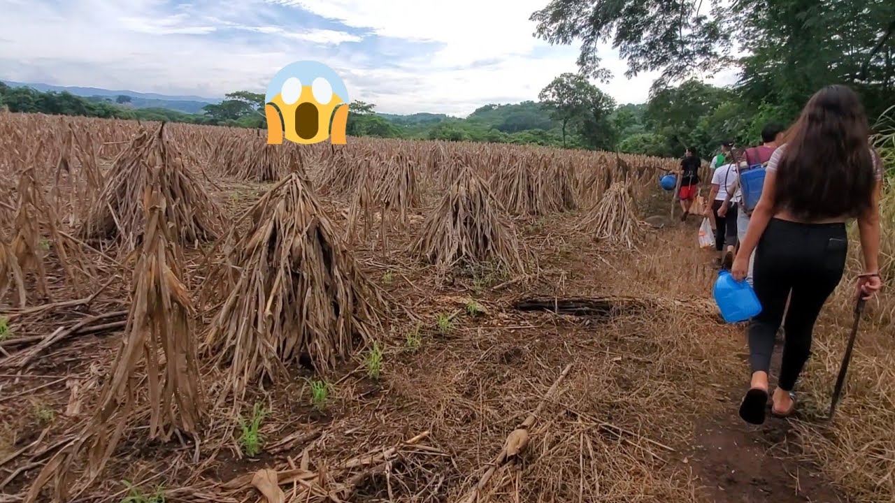 Yegamos a la famosa colonia de duendes que tan cierto cera el mito😱 ...