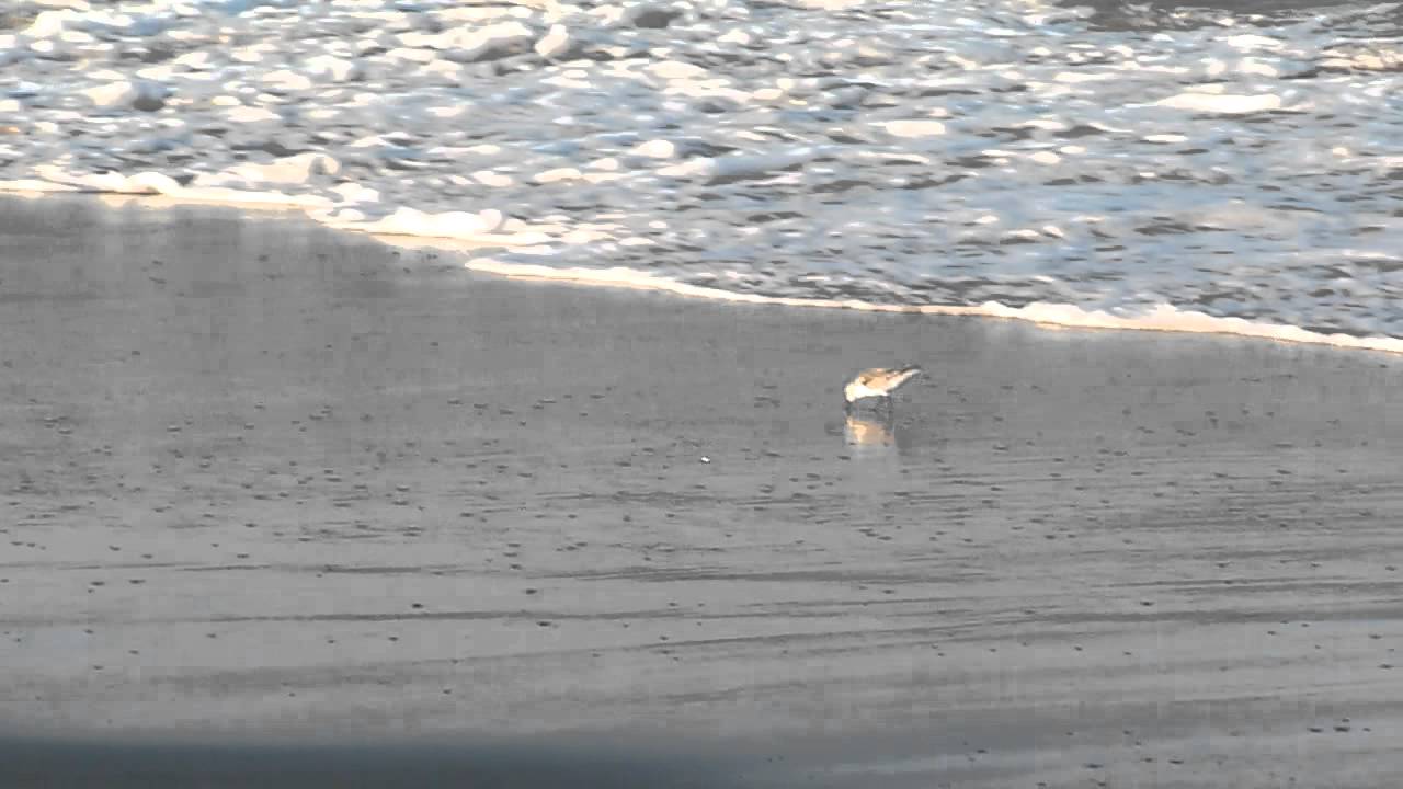 Wave Running - YouTube