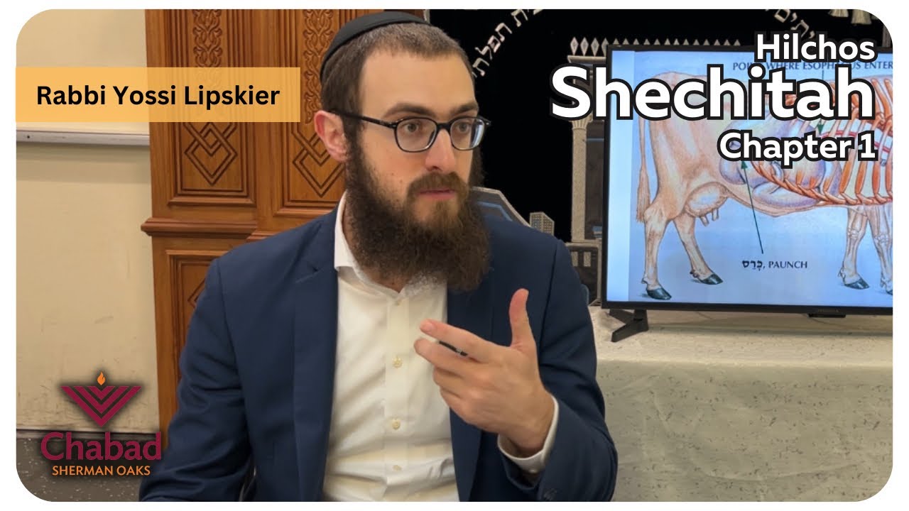 Rambam Hilchos Shechitah Chapter 1 • Rabbi Yossi Lipskier - YouTube