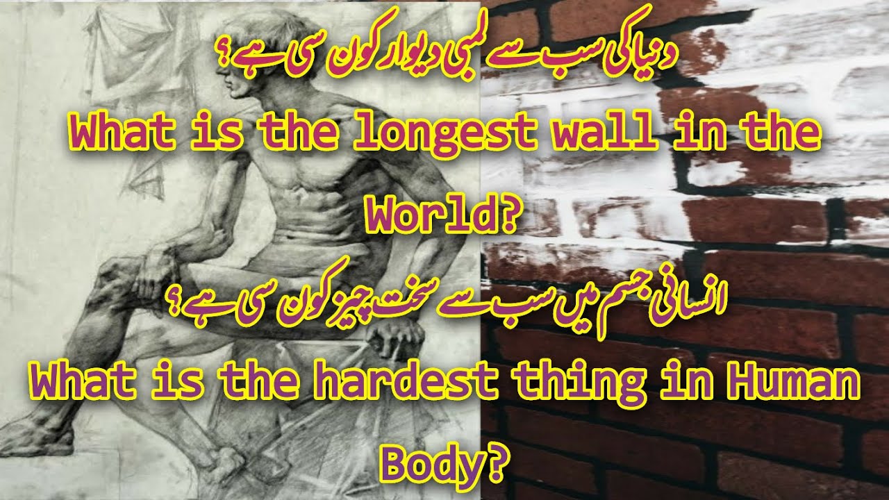 Best Urdu Riddles || Amazing English Riddes || Urdu & Eng combine ...