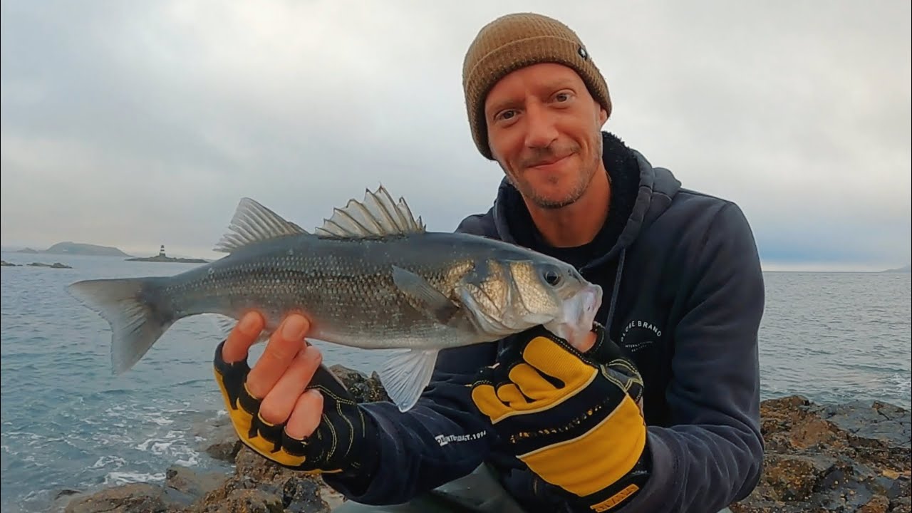 FINICKY FISH FALL FOR THE SANDY ANDY | LURE FISHING FOR BASS - YouTube