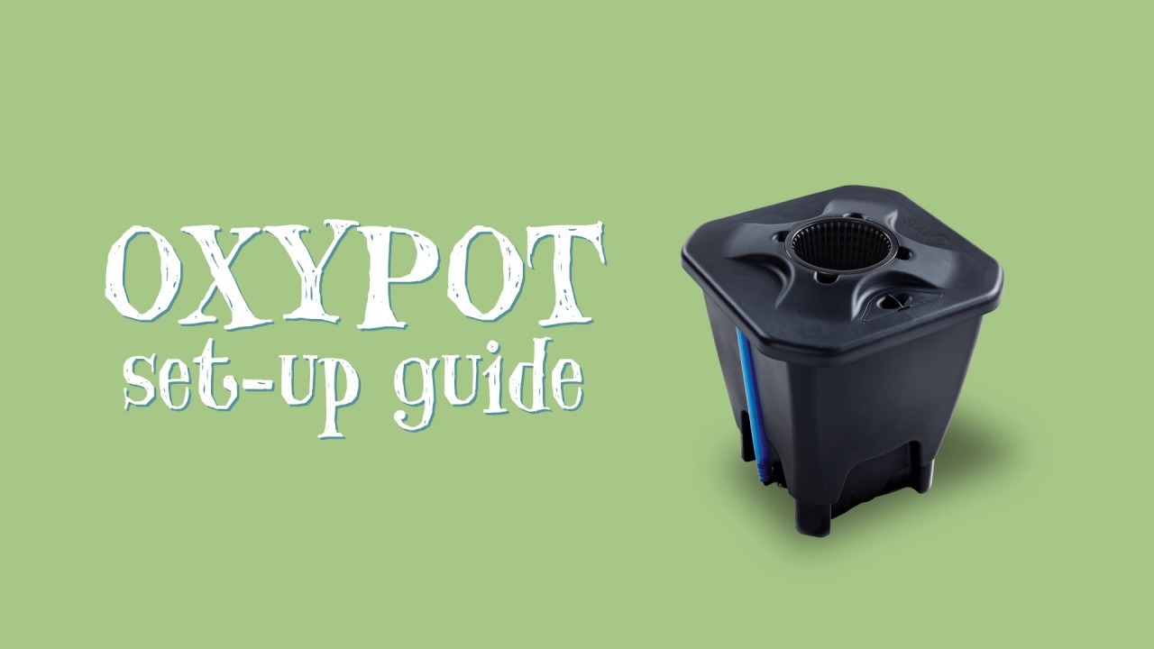 Oxypot Hydroponic Propagator - How to set it up - YouTube