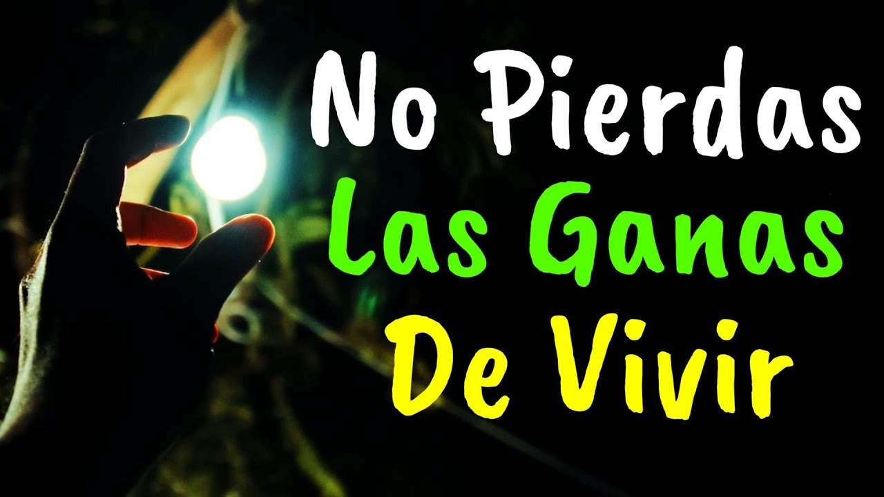 NUNCA Pierdas Las Ganas De Vivir ¦ Gratitud, Frases, Reflexiones ...
