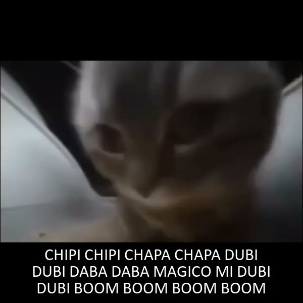 CHIPI CHIPI CHAPA CHAPA DUBI DUBI DABA DABA MAGICO MI DUBI DUBI BOOM ...