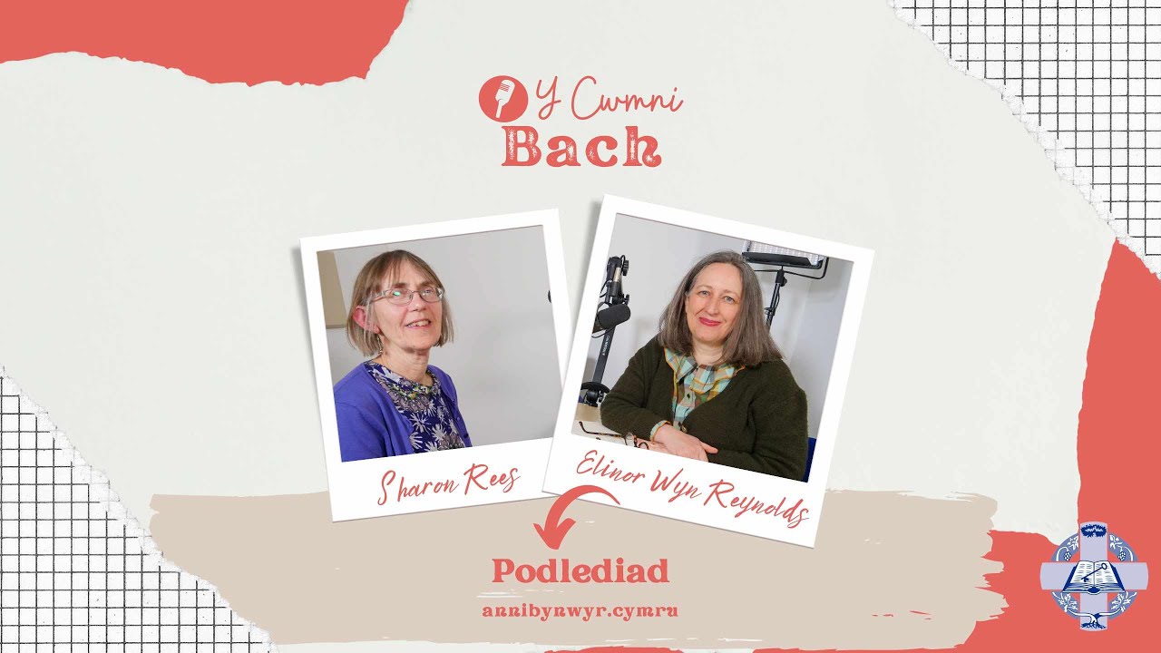 Y Cwmni Bach - Sharon Rees - YouTube