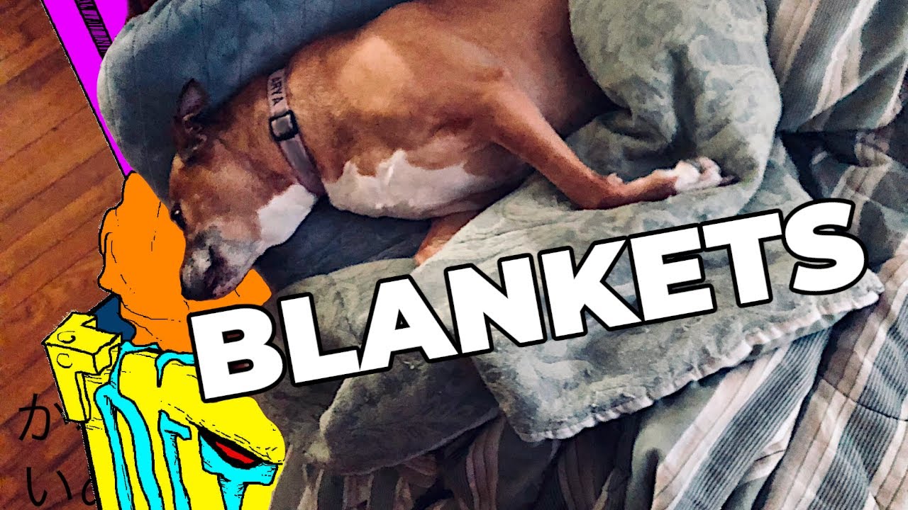 HBD Season 3 Episode 32 : Blankets - YouTube