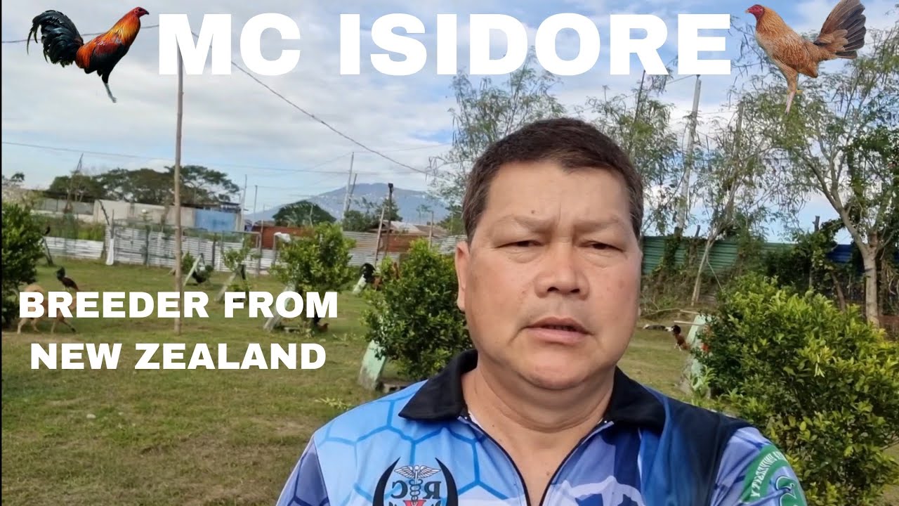 Doc. Manuelito Canda Breeder and cocker from New Zealand - YouTube