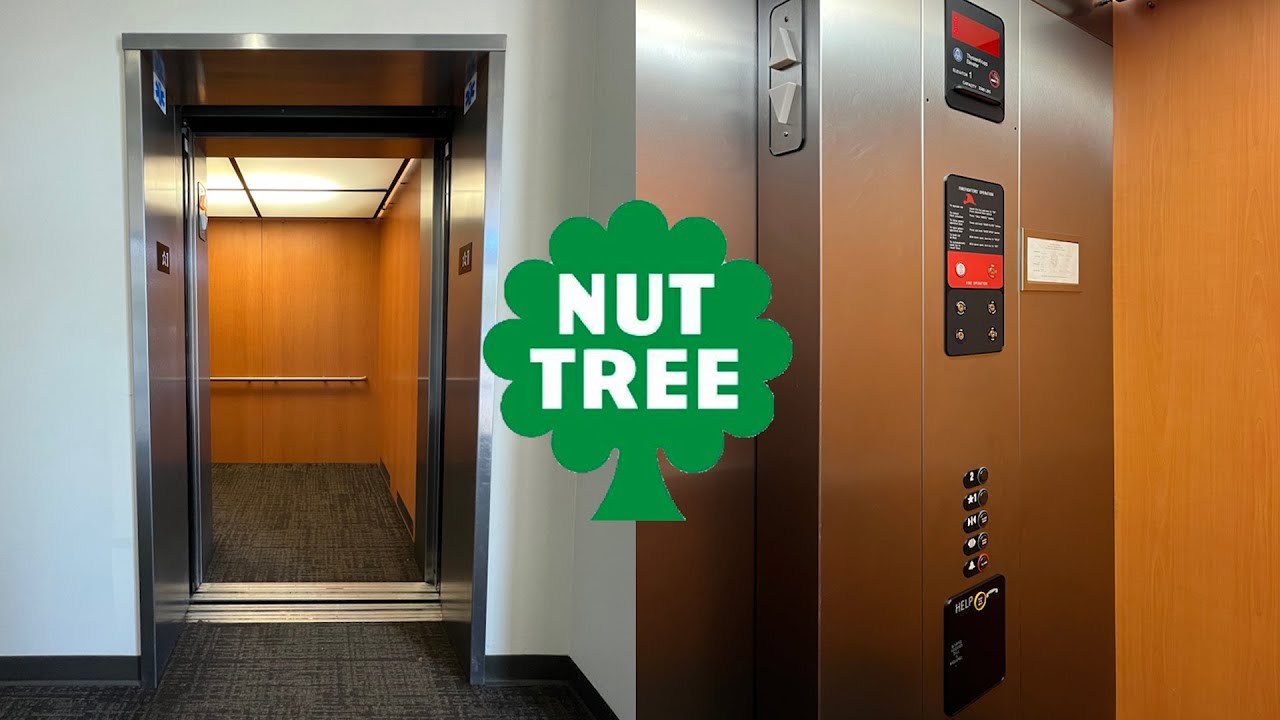 ThyssenKrupp Aurora Hydraulic Elevators - Nut Tree Village - Vacaville, CA - YouTube