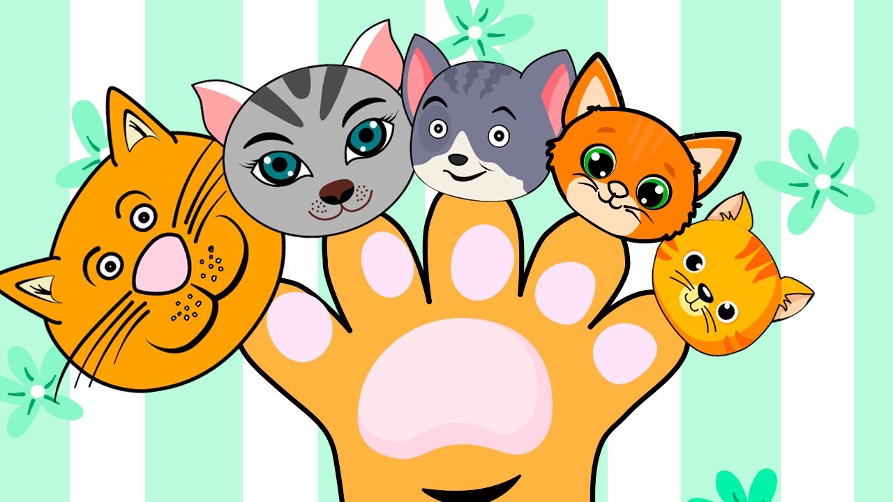 CAT Finger Family - Nursery Rhymes - YouTube