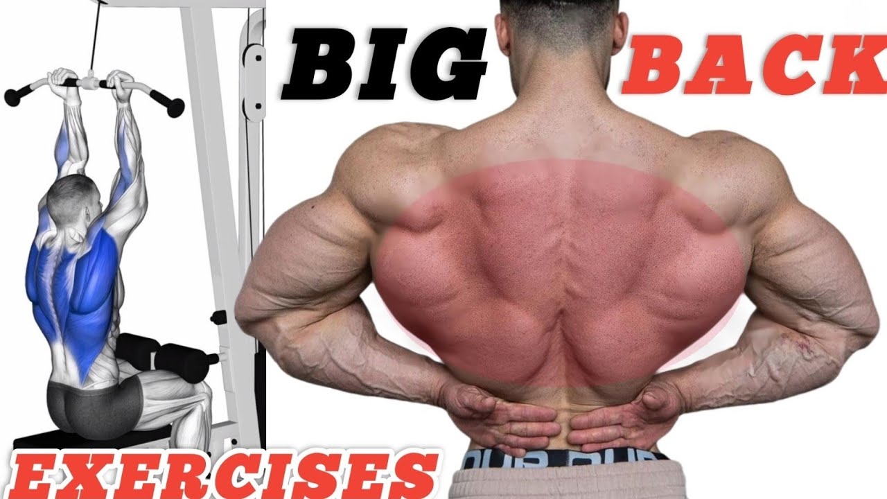Best Back Exercises To Build Big Back Muscle | Back Workout - YouTube