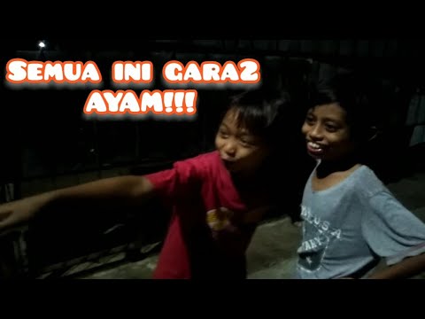 KETAHUAN WIK WIK SAMA AYAM