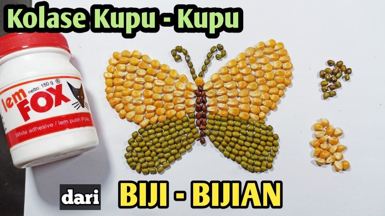Cara Mudah Membuat Kolase Kupu Kupu// Kolase Mudah Dari Biji Bijian ...
