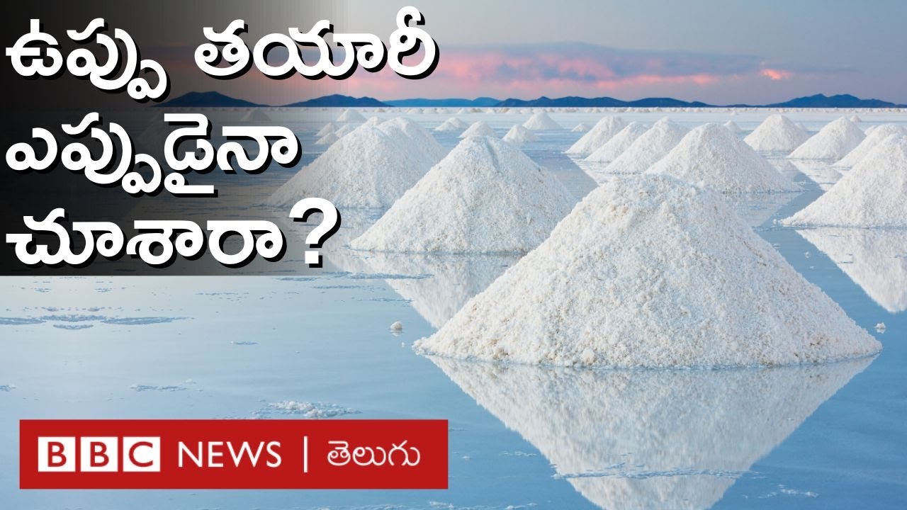 Salt Making Process: మనం రోజూ తినే ఉప్పు ఎలా తయారవుతుంది? అది పండించే ...