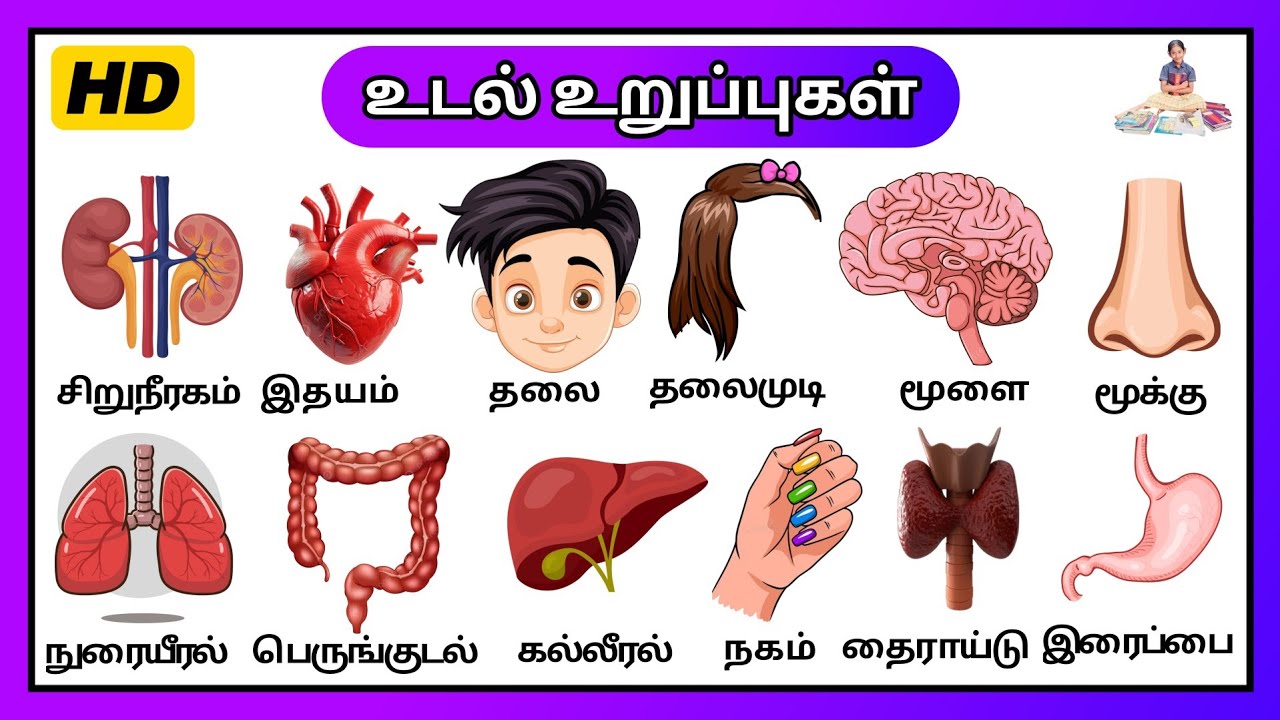 உடல் உறுப்புகள் | Body Parts Names In Tamil for Kids - YouTube