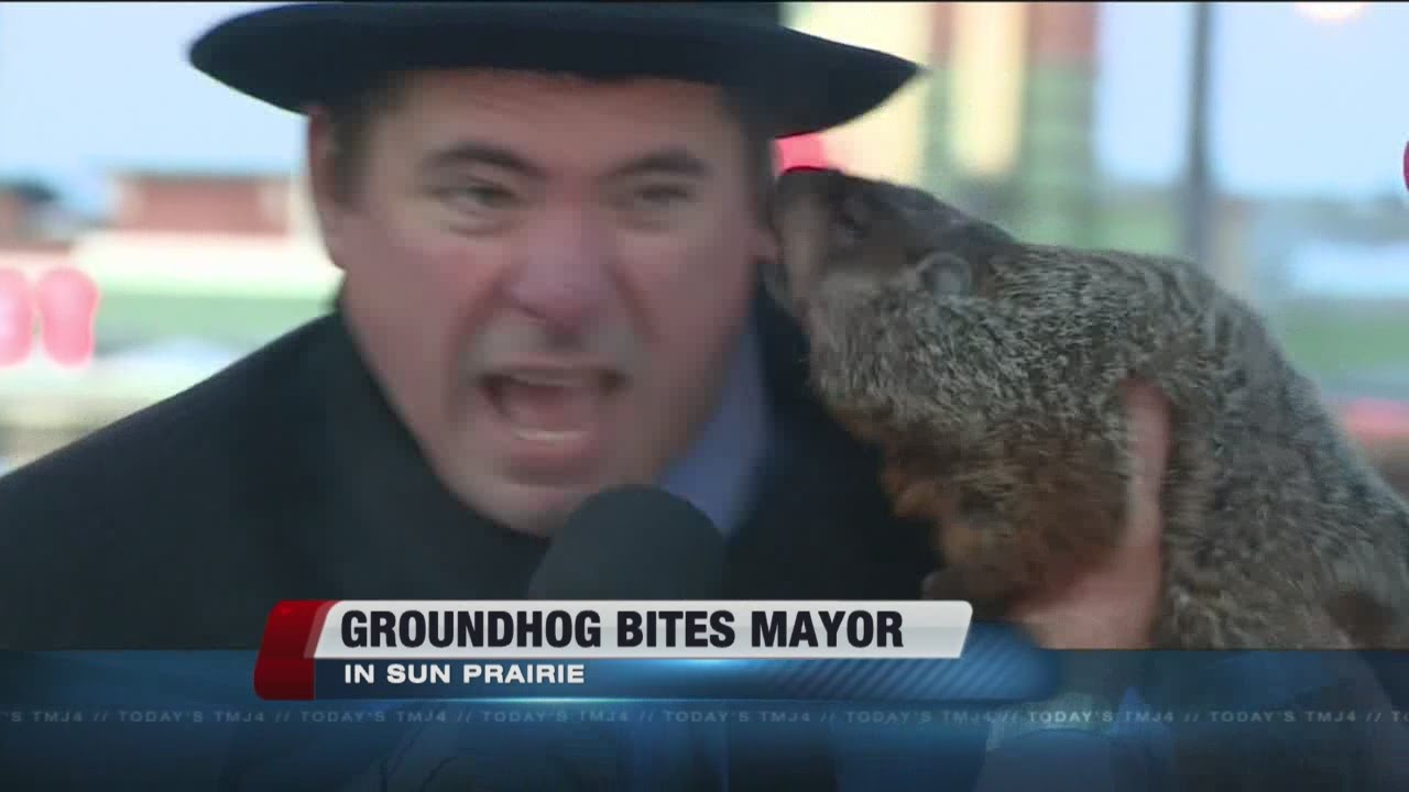 Sunny sees her shadow, and Jimmy has an earful for Sun Prairie's mayor ...