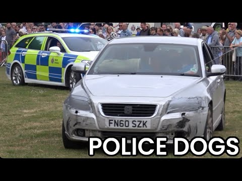 [POLICE DOGS] Kent Police DSU Demonstration and Pursuit! - Kent Police ...