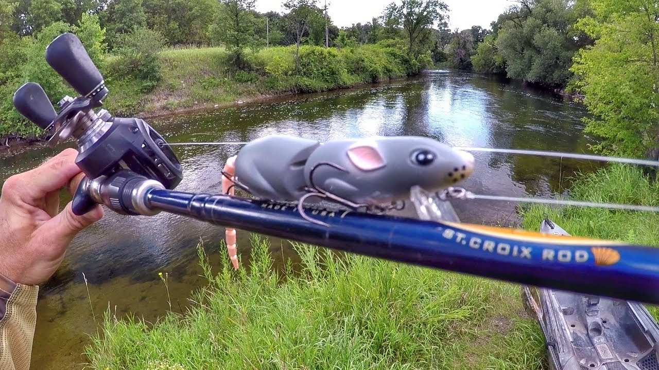 Fishing A Rat Lure For River Smallmouth - YouTube