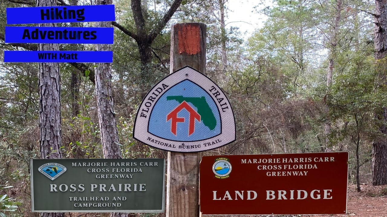 Florida Trail - Ross Prairie to Land Bridge - YouTube