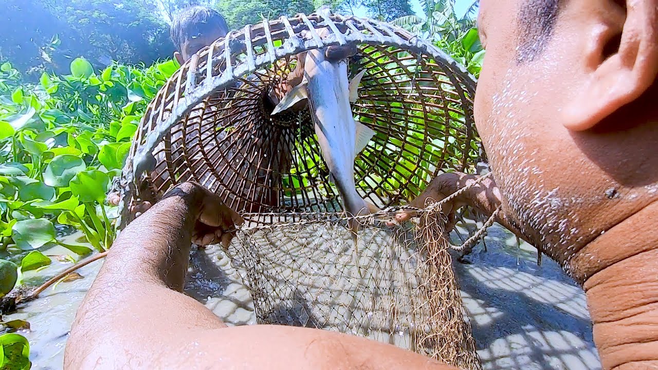 Rural Fishing By Polo In Village Natural Bill. Fishing Village - YouTube