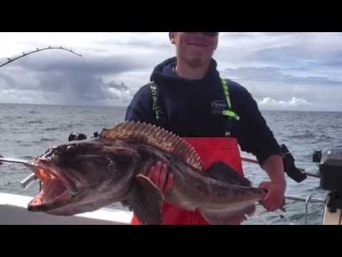 Ling cod jigs work great! Check out some of the Lingcod catches from ...