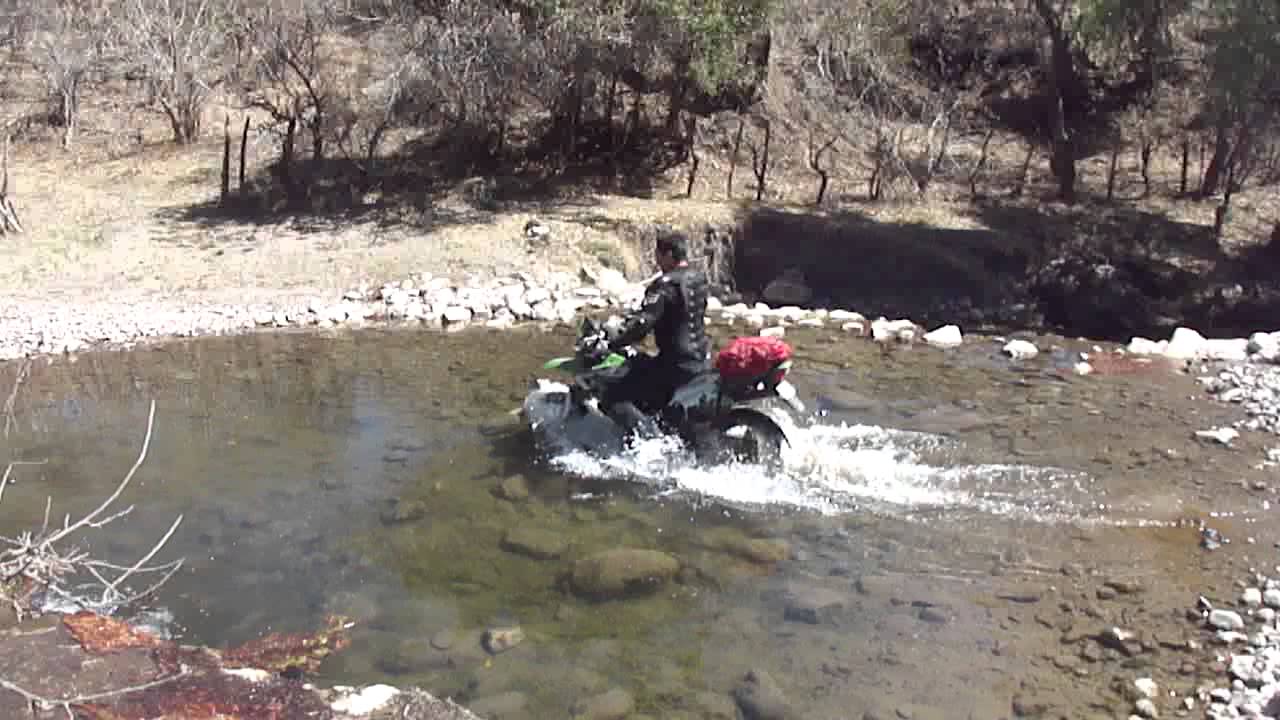 Carabela shark cruzando río - YouTube
