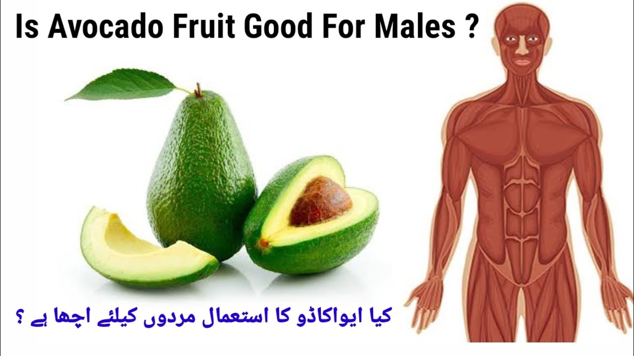 Why Avocado Fruit Good For Males? کیوں ایواکاڈو کا استعمال مردوں کیلئے ...