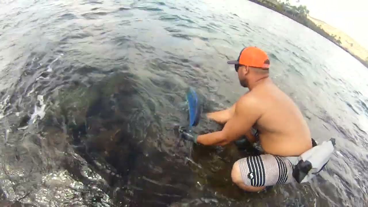 WWJ n Kaeo releases fish - YouTube