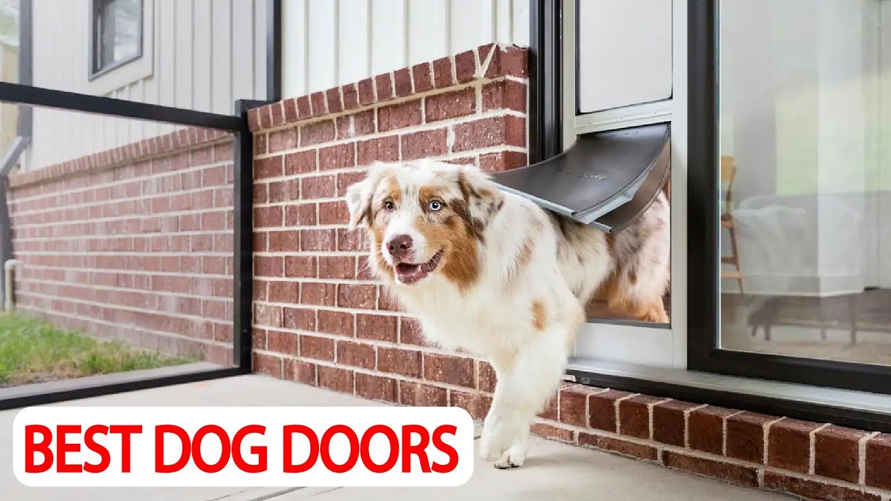 Opening Doors to Canine Freedom: A Guide to the Best Dog Doors for ...