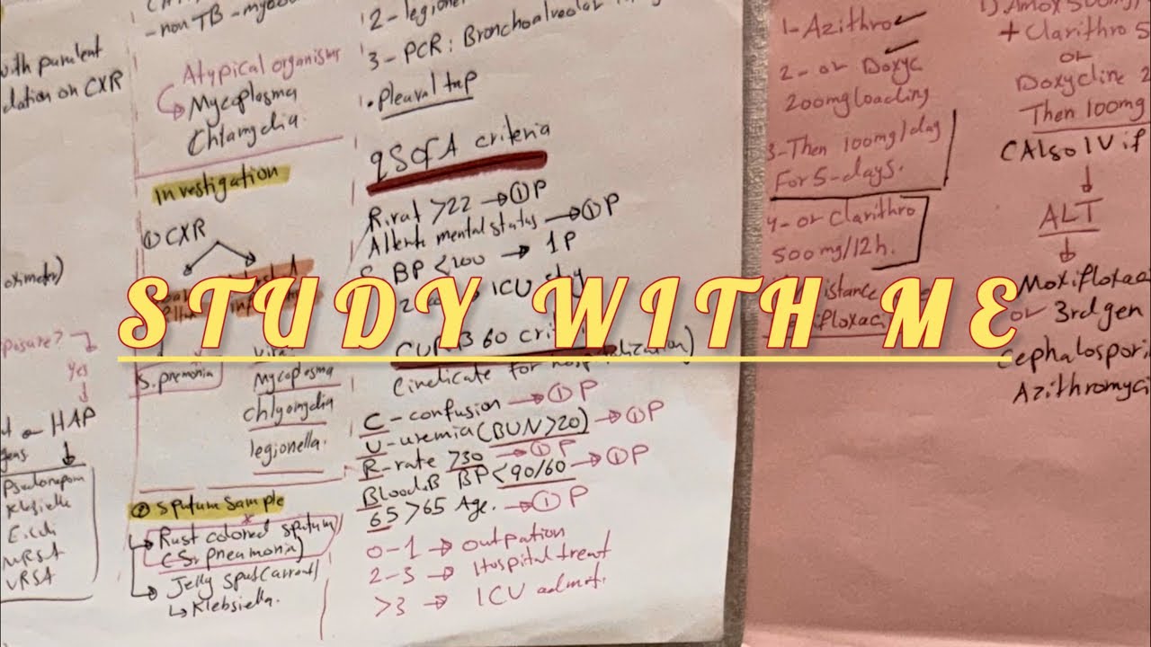 🔴LIVE | one hour study with me 📚| no sounds 🔇| pharmacy student | Ramadan study diaries 🌙 - YouTube