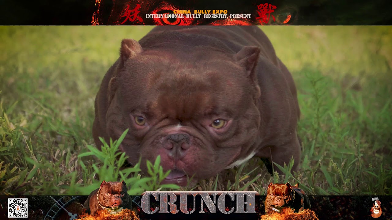New video！ Crunch《妖獸》首部宣傳影片震撼來襲！ - YouTube