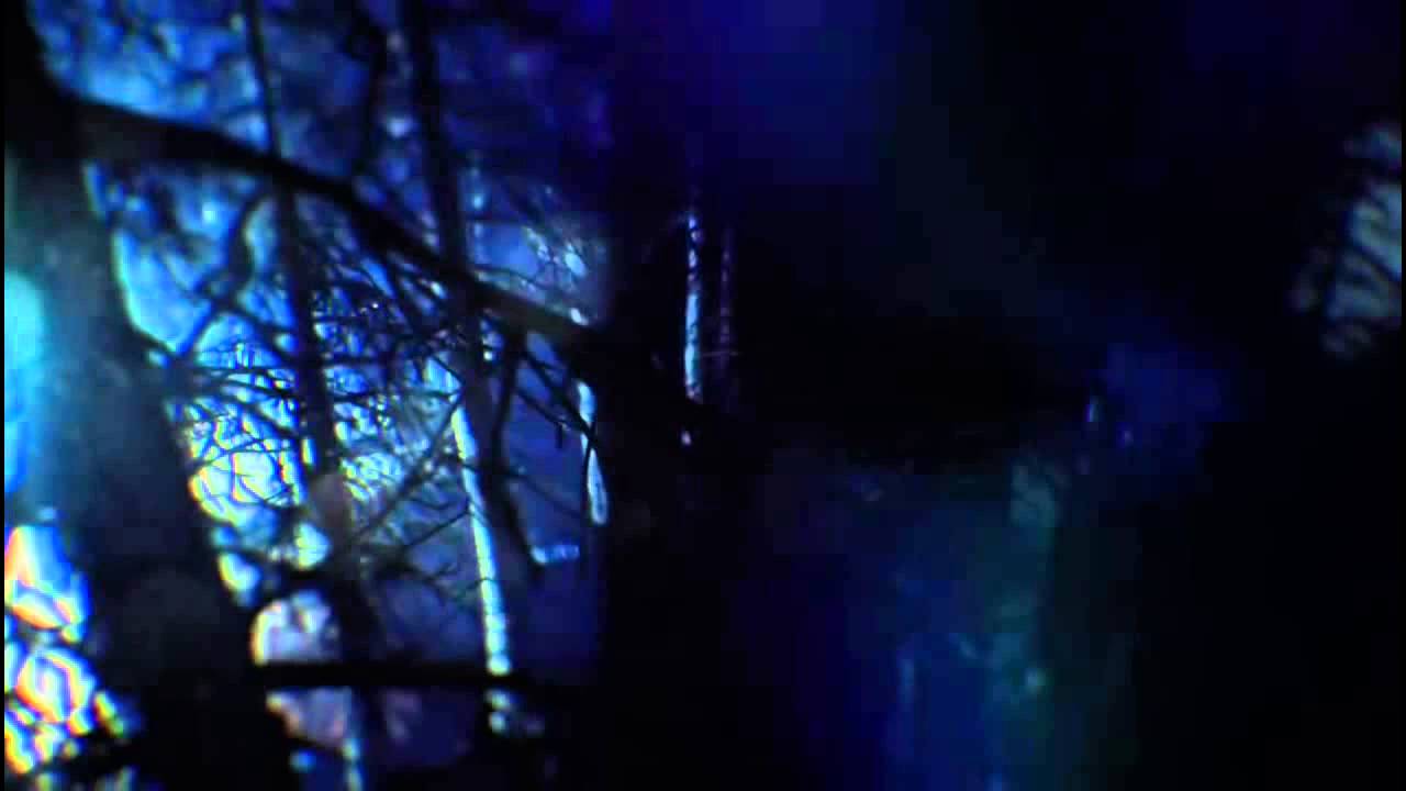 CoDBo3 Zrun w/Antwon - YouTube