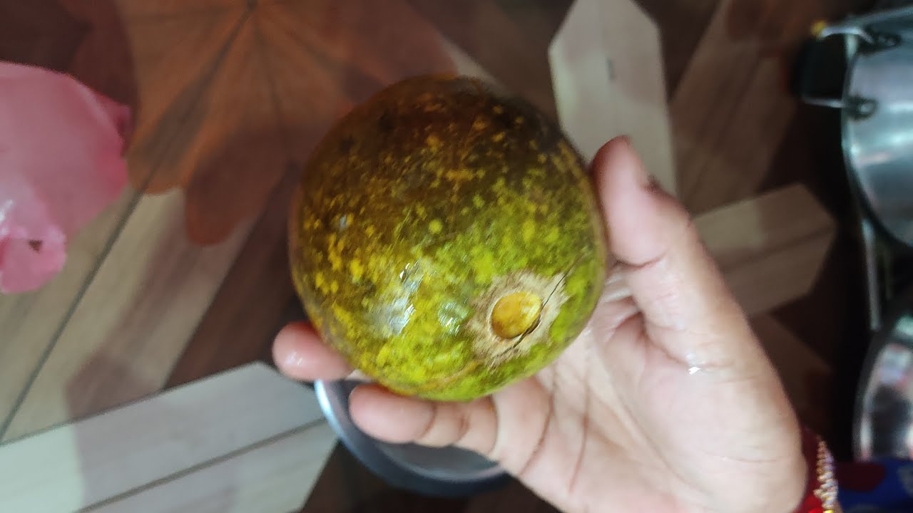 Bel Ko Juice Nepali style #nepali #beljuice #refreshing #all #nepalnos ...