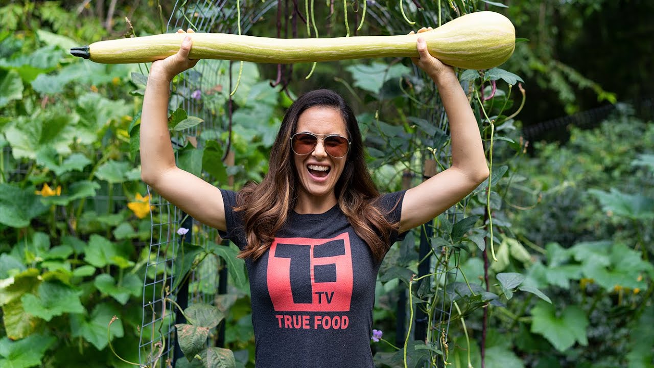 Biggest. Zucchini. Ever. - YouTube