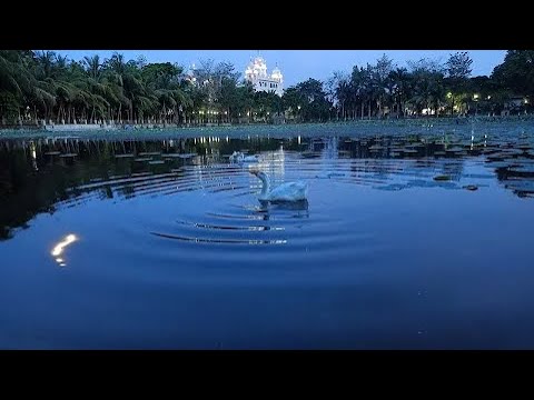 The beauty of Bhelwa Talab | nehru nagar | Bhilai | Chhattisgarh - YouTube